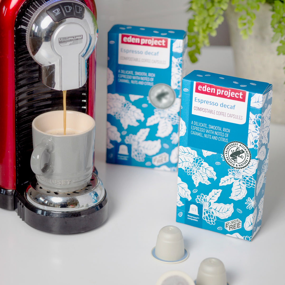 Espresso Decaf Eden Project Nespresso Pods - Rainforest Alliance ...