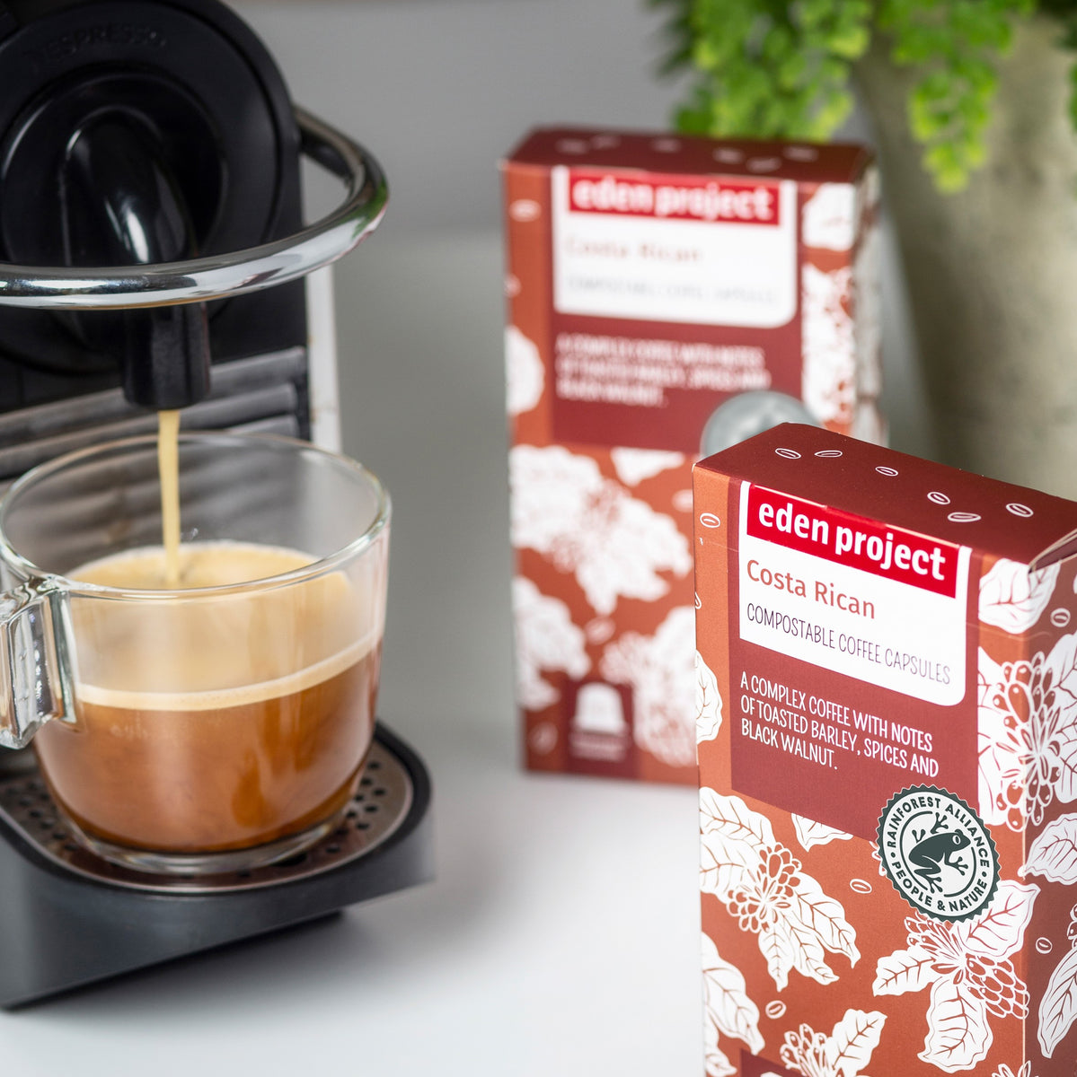 Rainbow Selection Mix Pack Eden Project Nespresso Pods - Rainforest ...