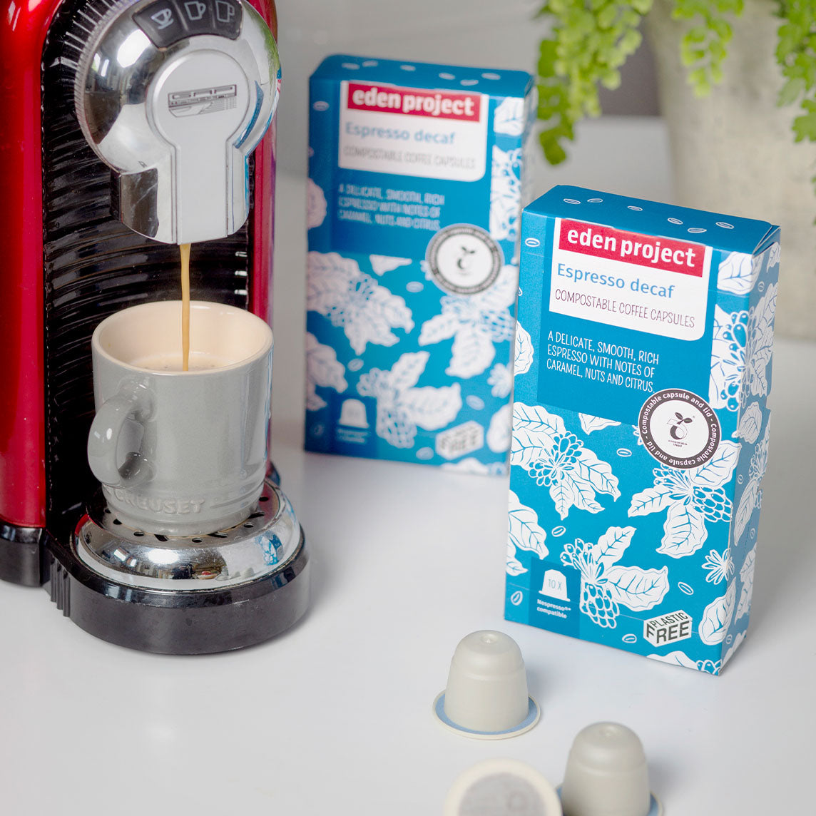 Espresso Decaf Eden Project Nespresso Pods - Classic Collection – Fresh ...